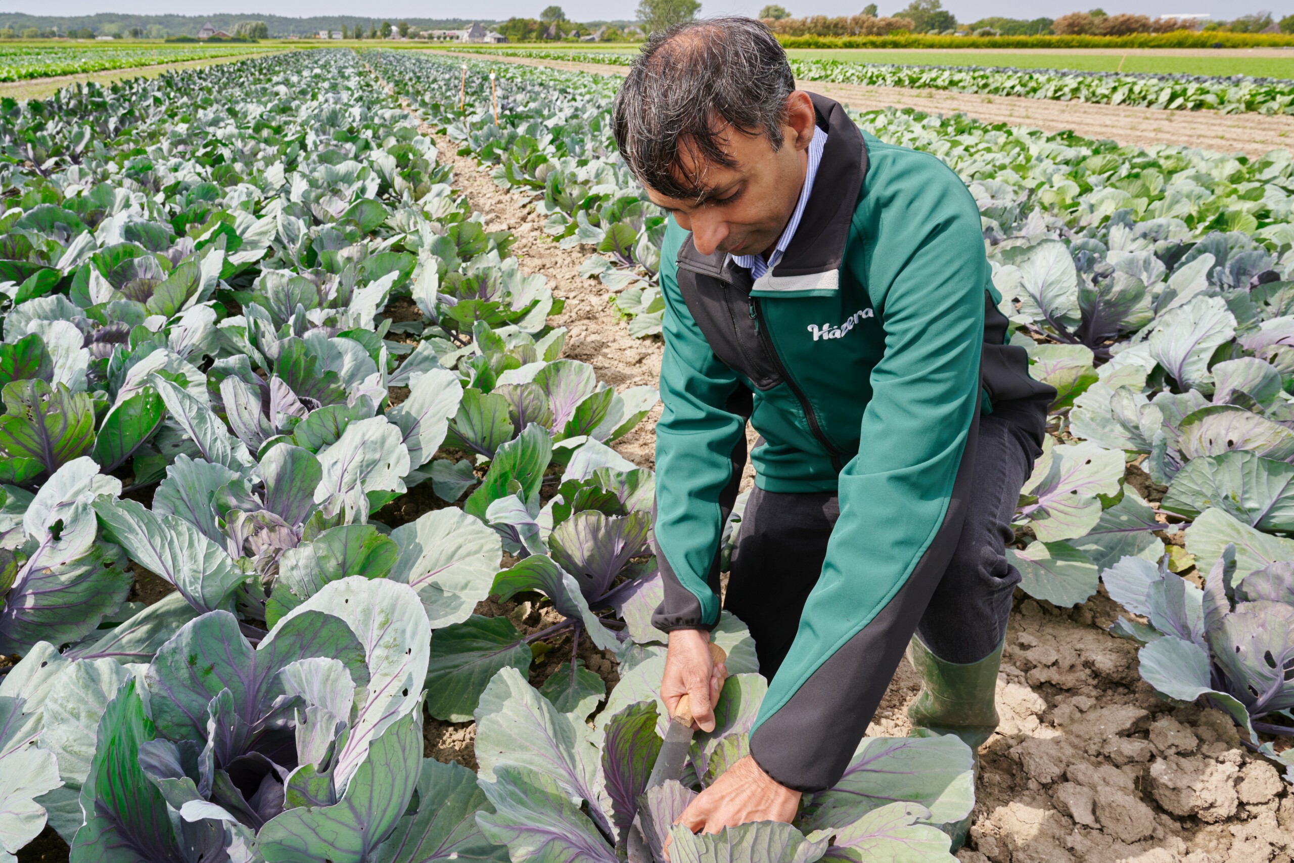 Meet the people behind the crops: Manu Parmar - Turkey